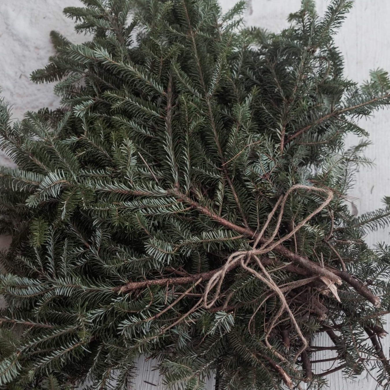Fresh Fraser Fir Boughs – Northern Botanicals